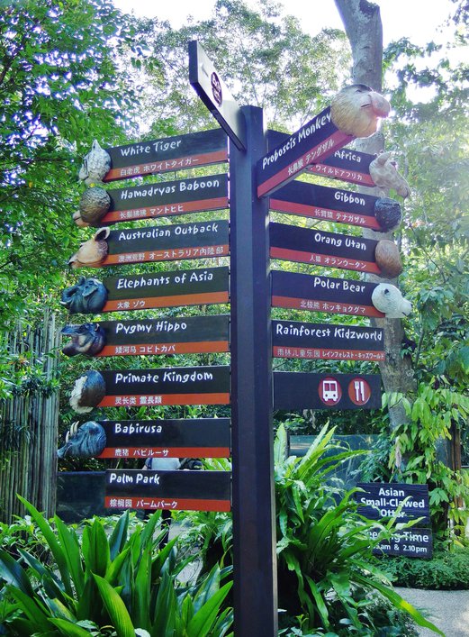 A Day at the Singapore Zoo | Spring Tomorrow