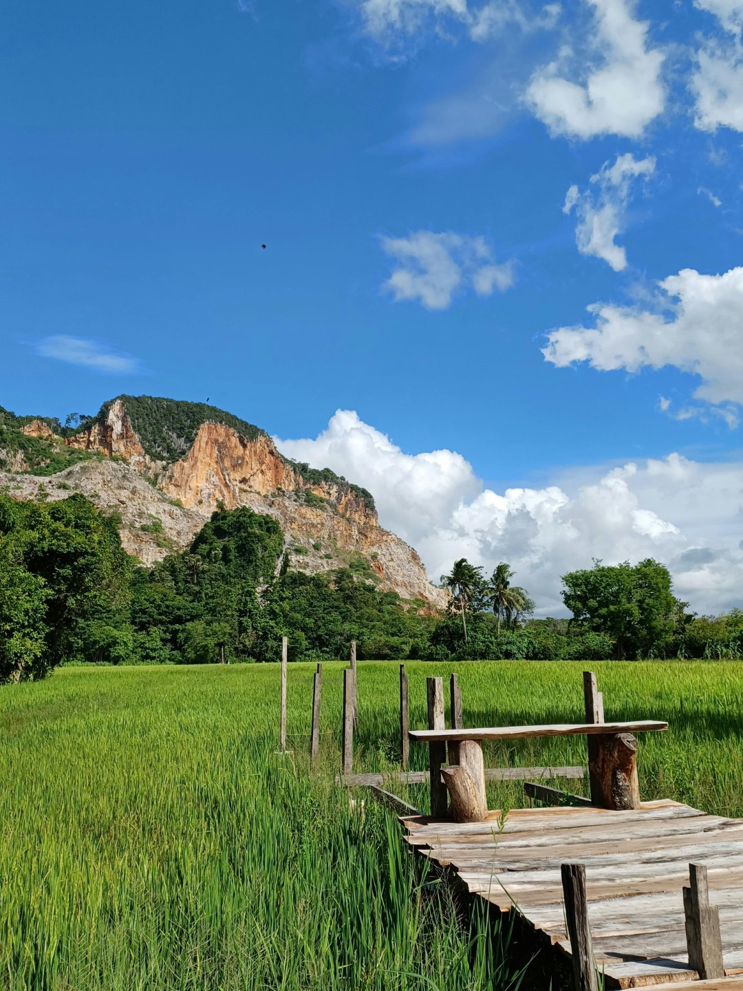 Ultimate Guide to Exploring Kuala Perlis